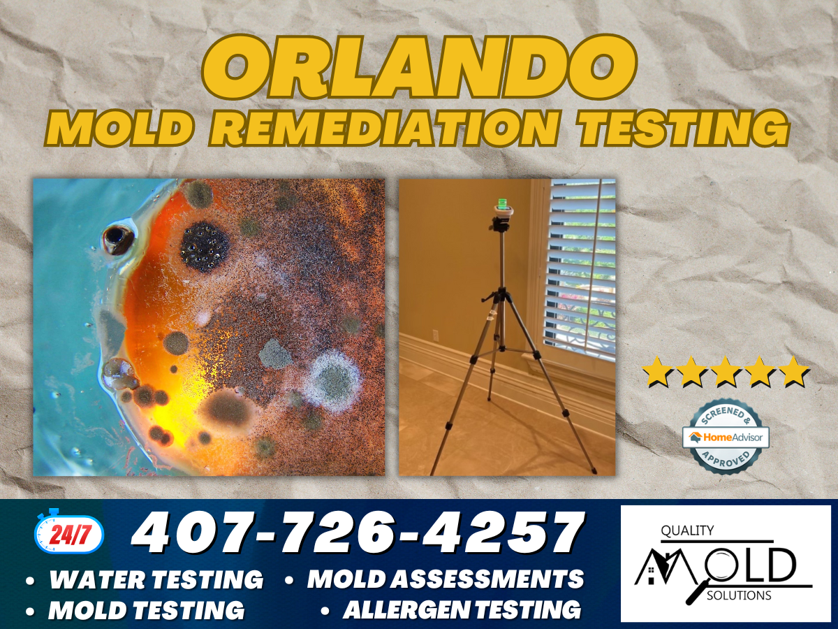 Ultimate Mold Remediation Testing Guide - Quality Mold Solutions