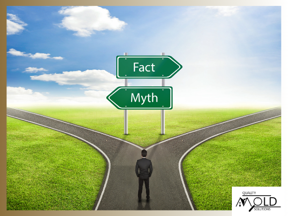 Mold Myths Debunked | Quality Mold Solutions - Orlando Mold Testing
